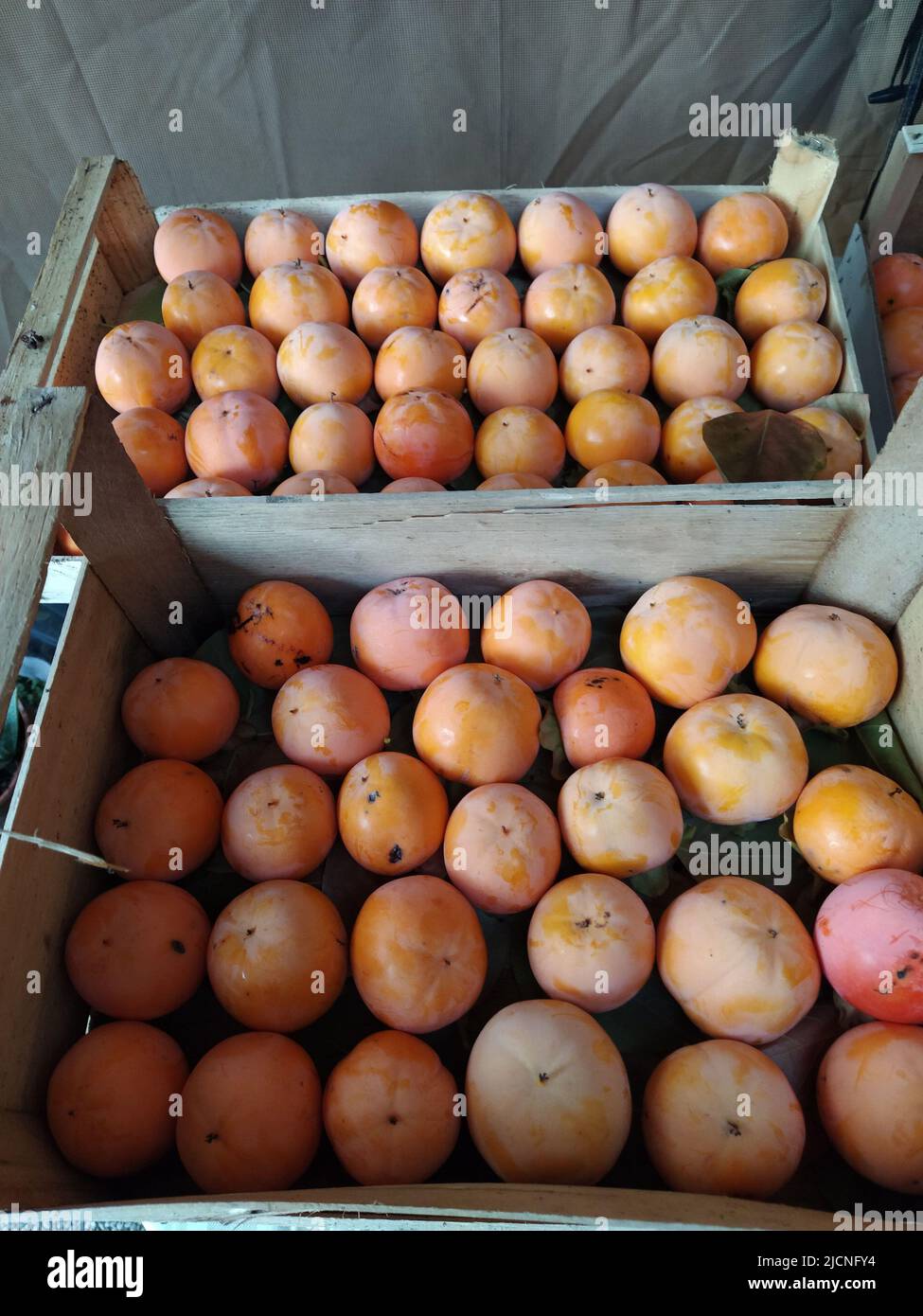 Boxes full of persimmon fruit just kept Stock Photo - Alamy