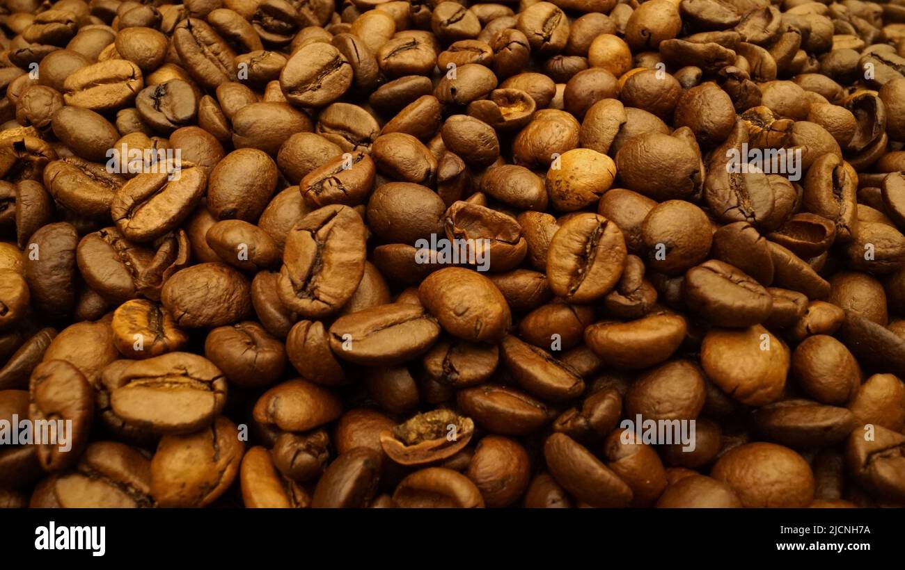 Sorting coffee beans. The black coffee beans are spinning. Close-up ...