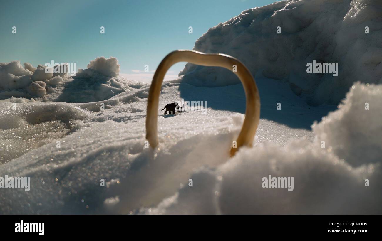 Snowy landscape and mammoth. Woolly mammoth in a cold snowy landscape ...