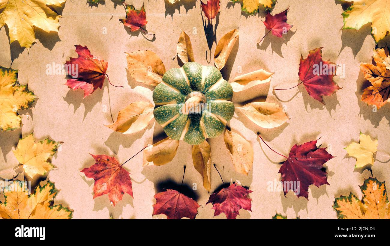 Autumn decor with ceramic decorative pumpkin. Fall leaves arrangement ...