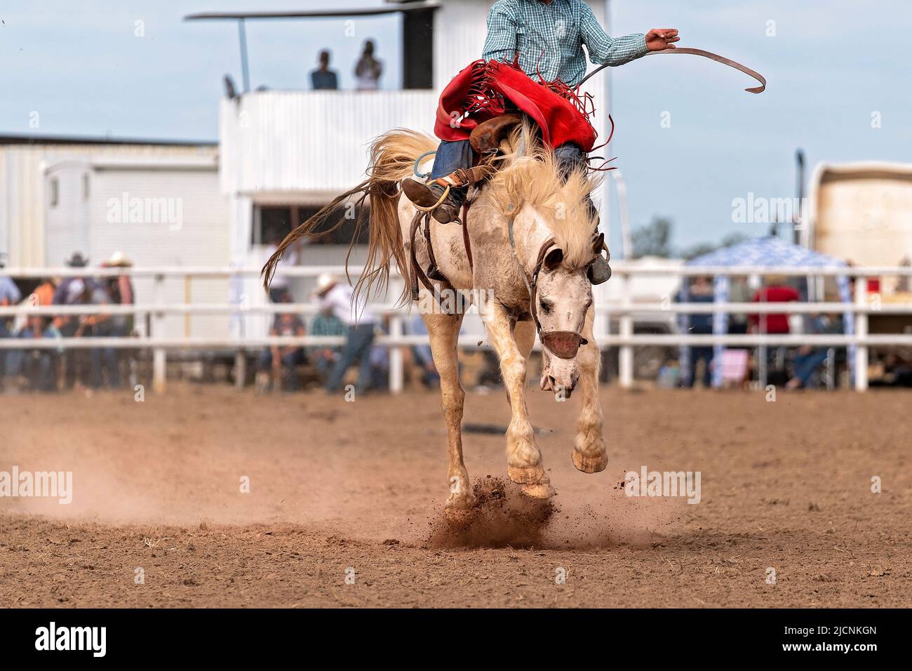 Cowboy riding a bucking bronc at a country rodeo Australia Stock Photo ...