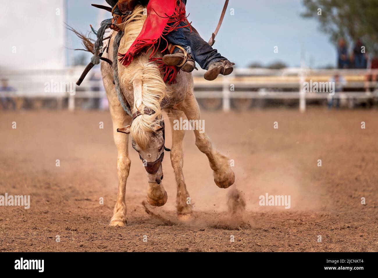 Cowboy riding a bucking bronc at a country rodeo Australia Stock Photo ...