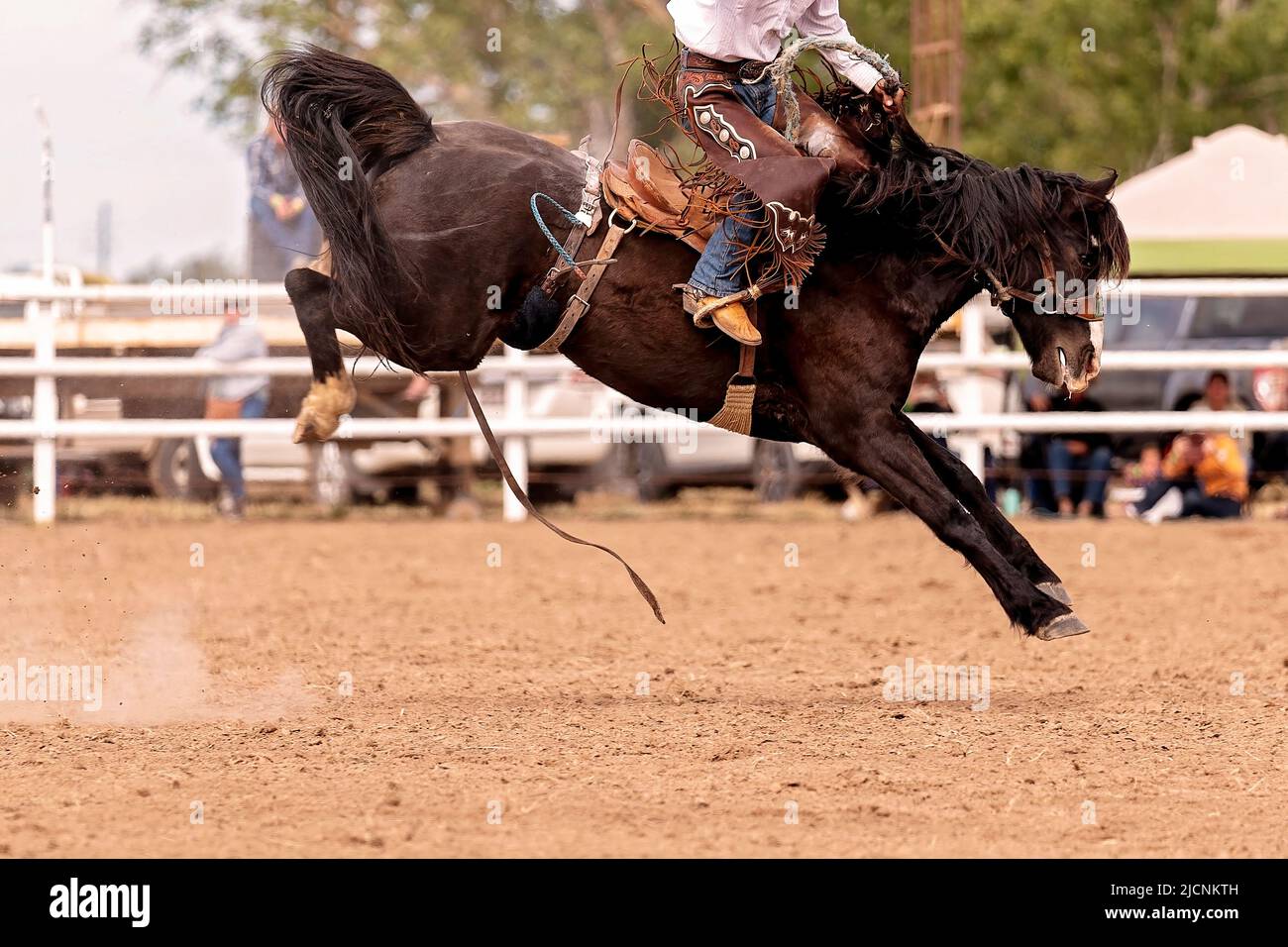 Cowboy riding a bucking bronc at a country rodeo Australia Stock Photo ...