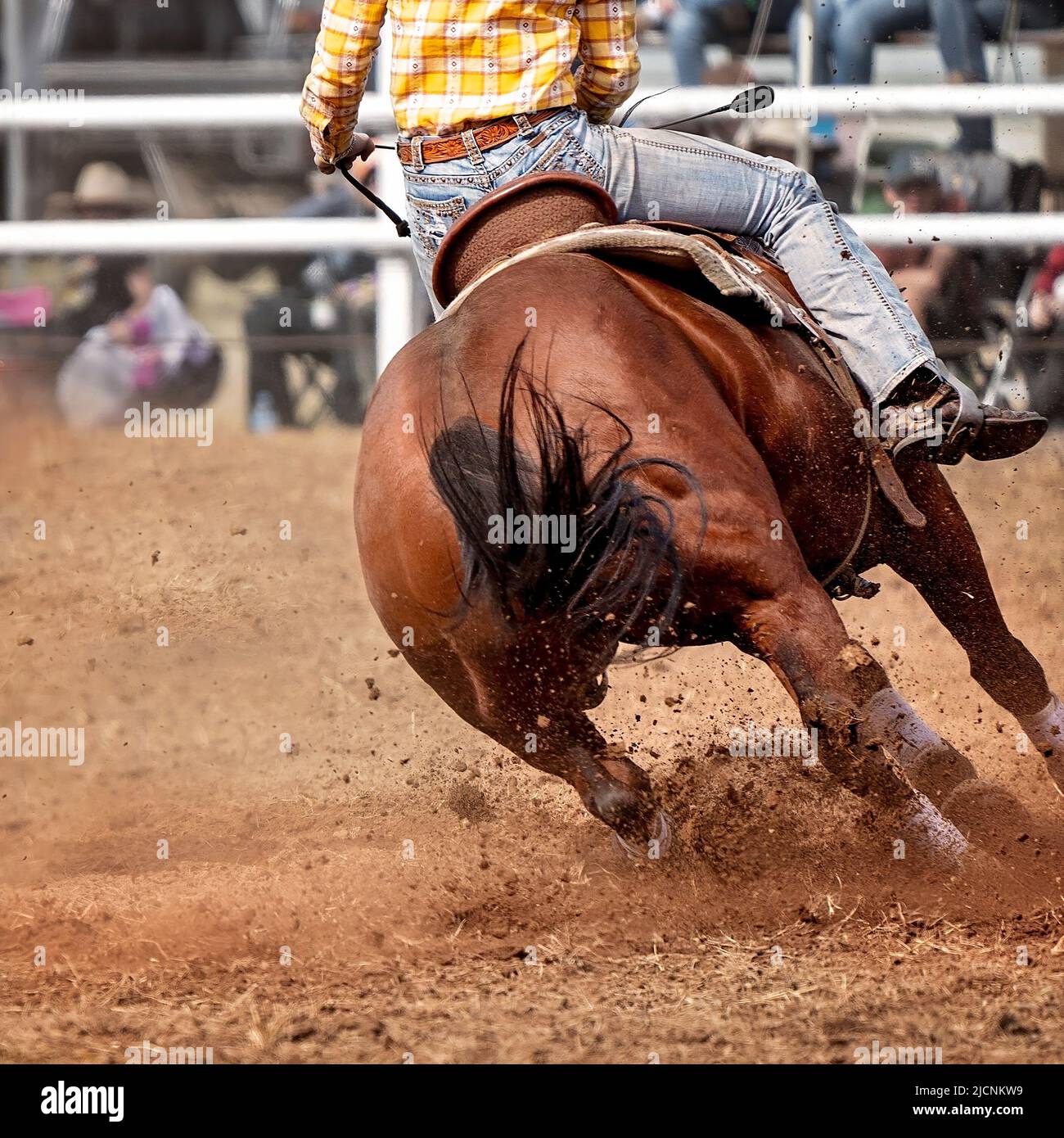Rider competing in barrel race on horse at country rodeo Australia ...