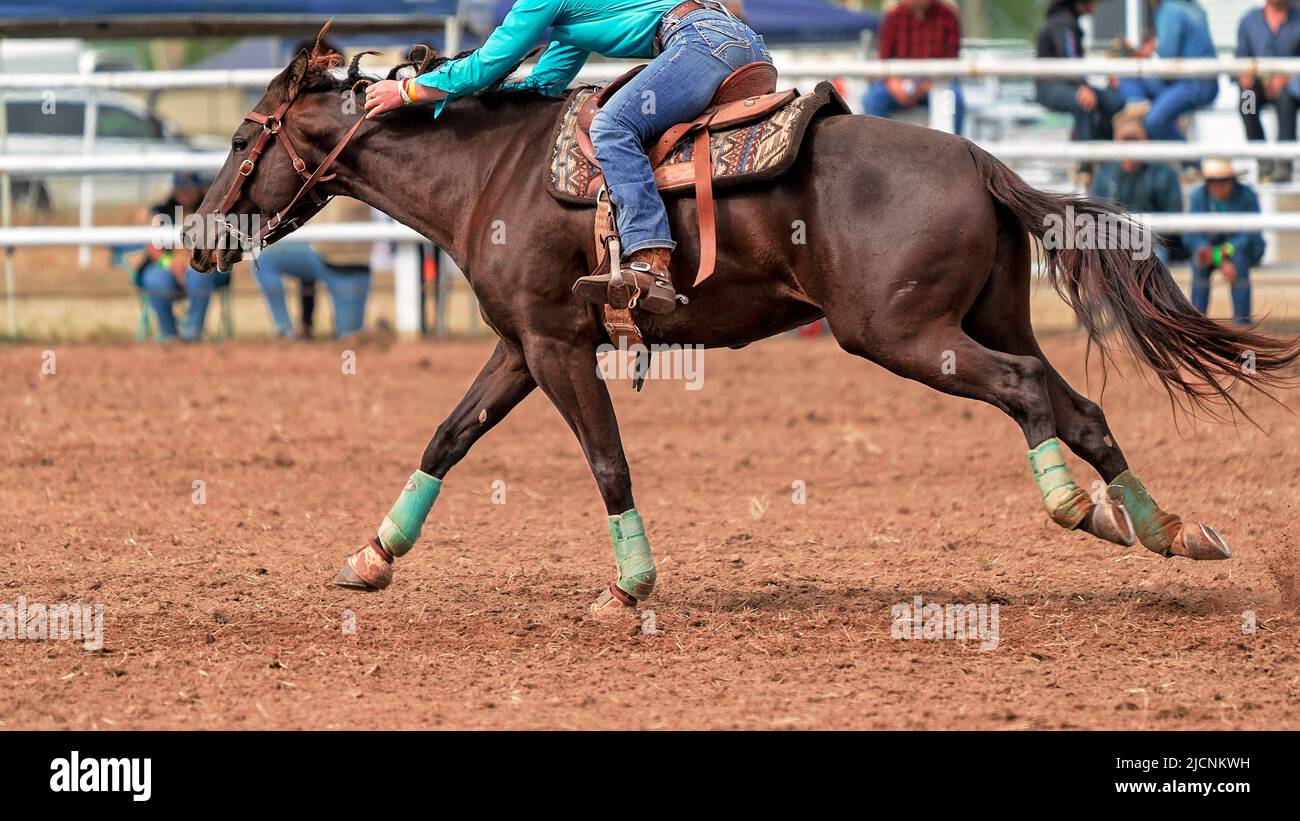 Female rider races her horse in barrel racing at country rodeo ...