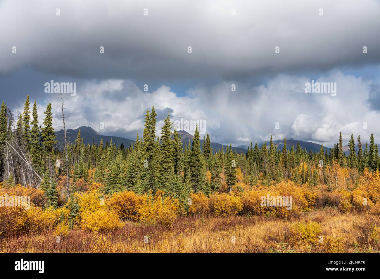 Amazing scenic fall views in northern Canada during September, autumn ...