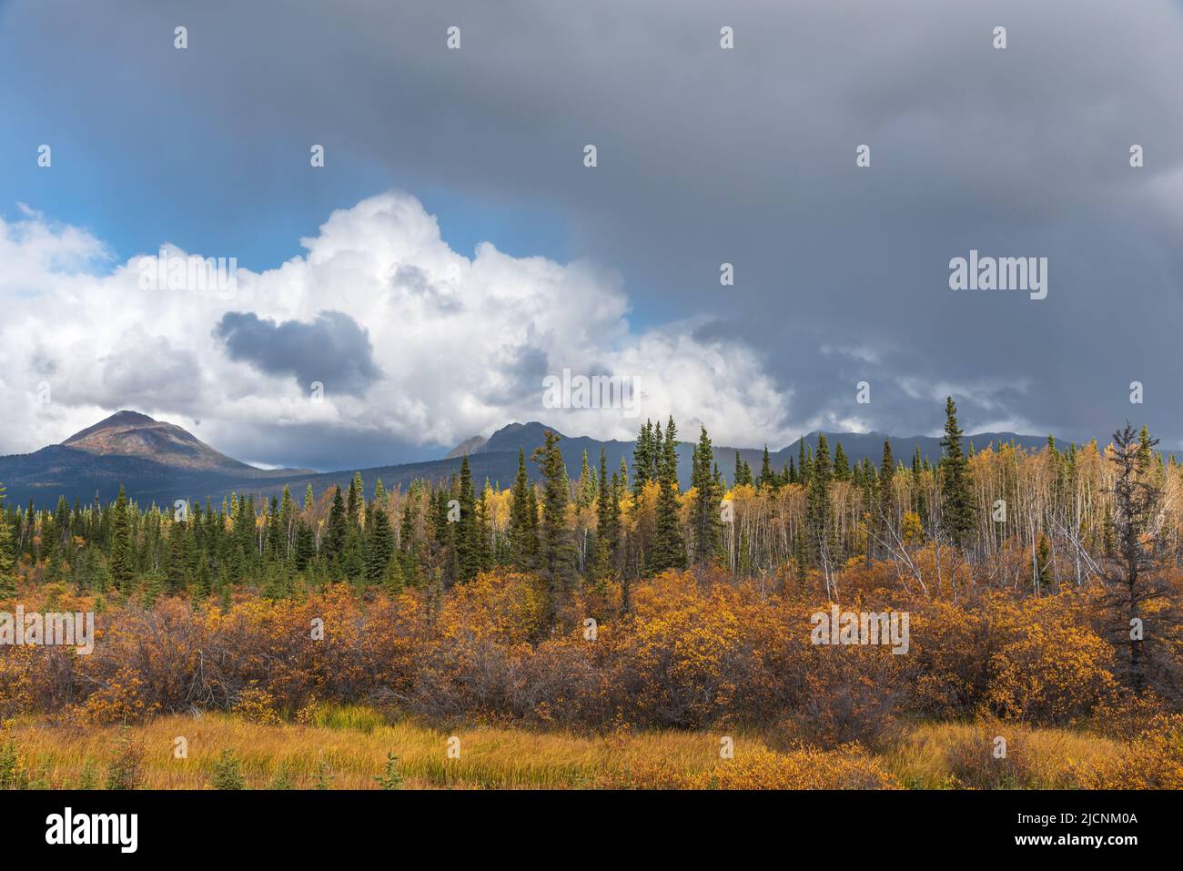 Amazing scenic fall views in northern Canada during September, autumn ...