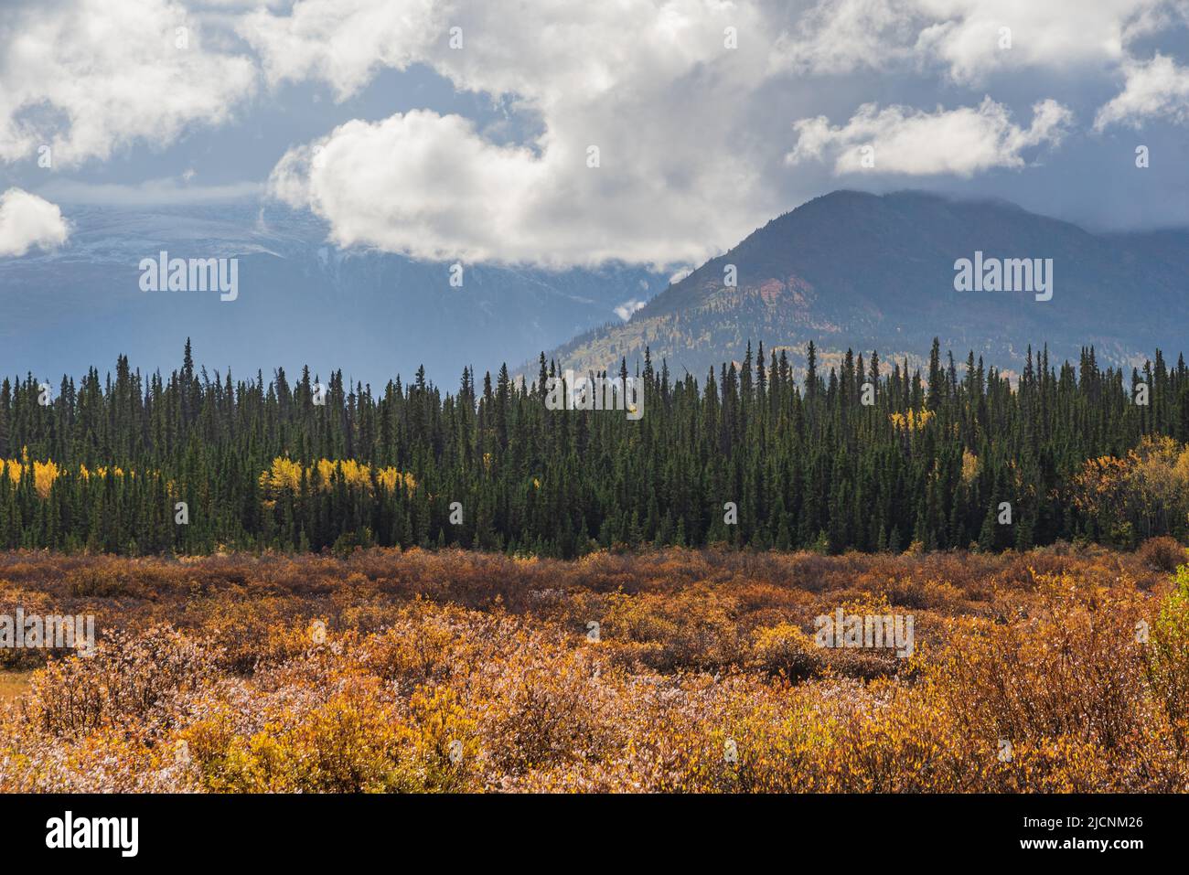 Amazing scenic fall views in northern Canada during September, autumn ...
