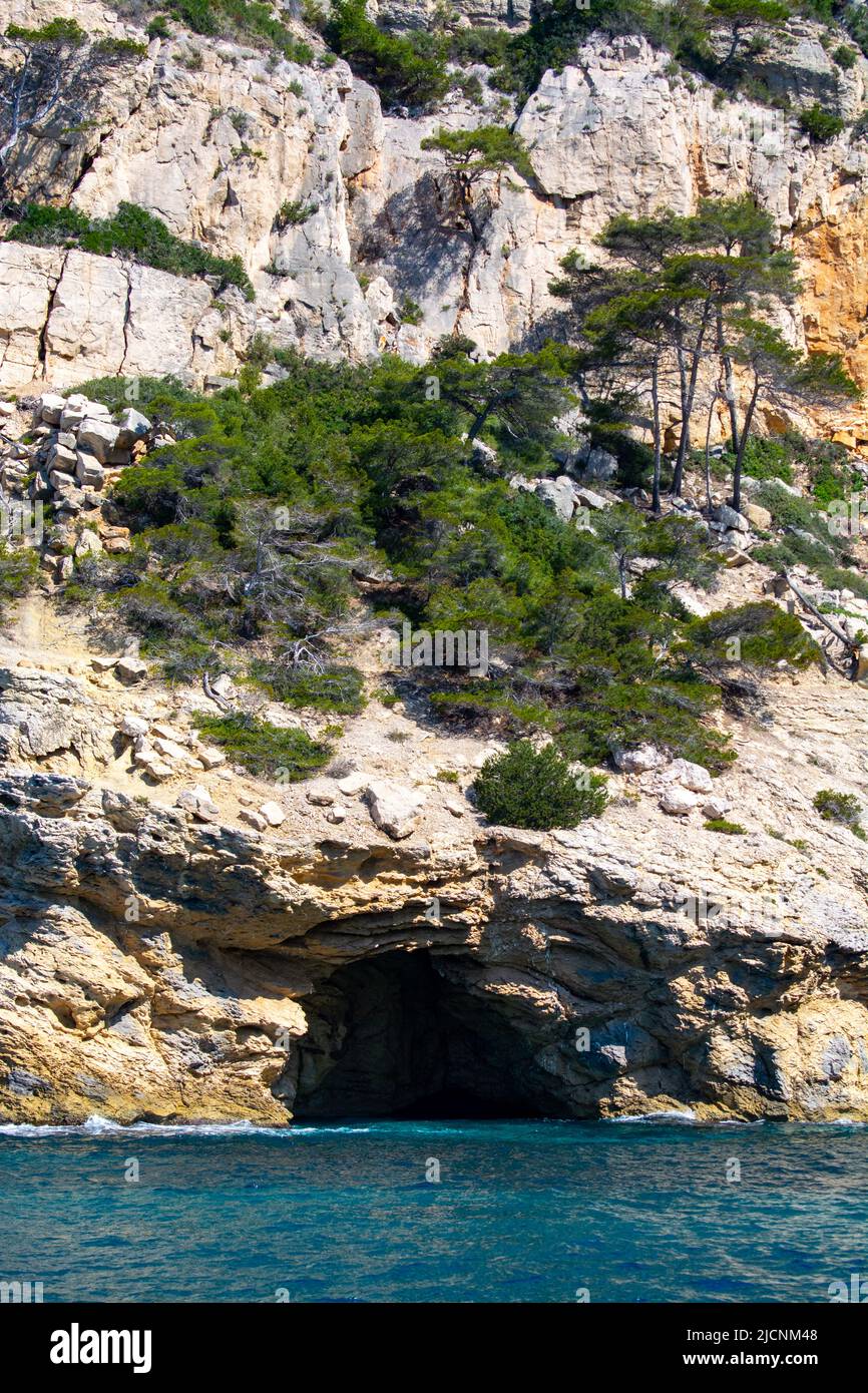 Mediterranean Pine Trees Growing On White Limestone Rocks And Cliffs In
