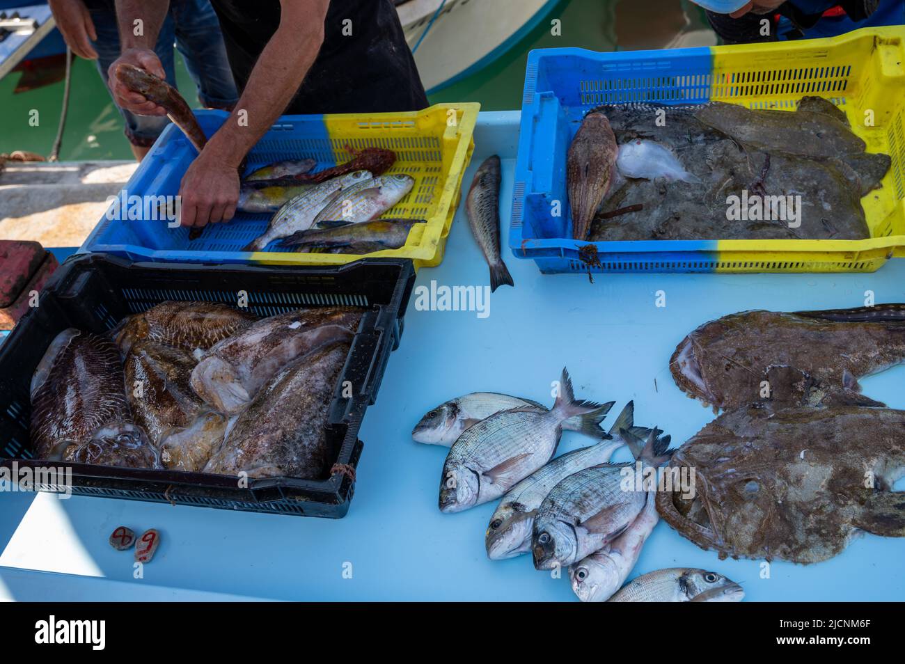 Catch of the day , fresh fish for sale on daily outdoor fisherman's ...