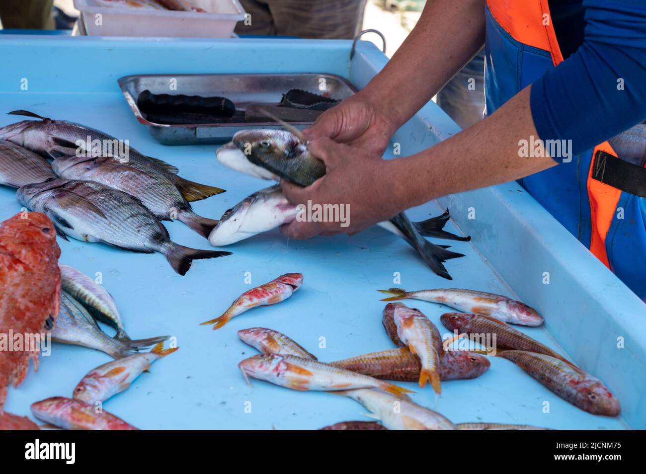 Catch of the day , fresh fish for sale on daily outdoor fisherman's ...