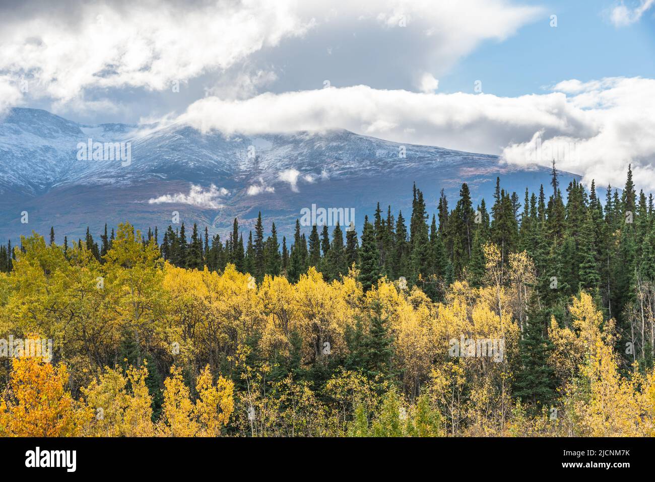 Amazing scenic fall views in northern Canada during September, autumn ...