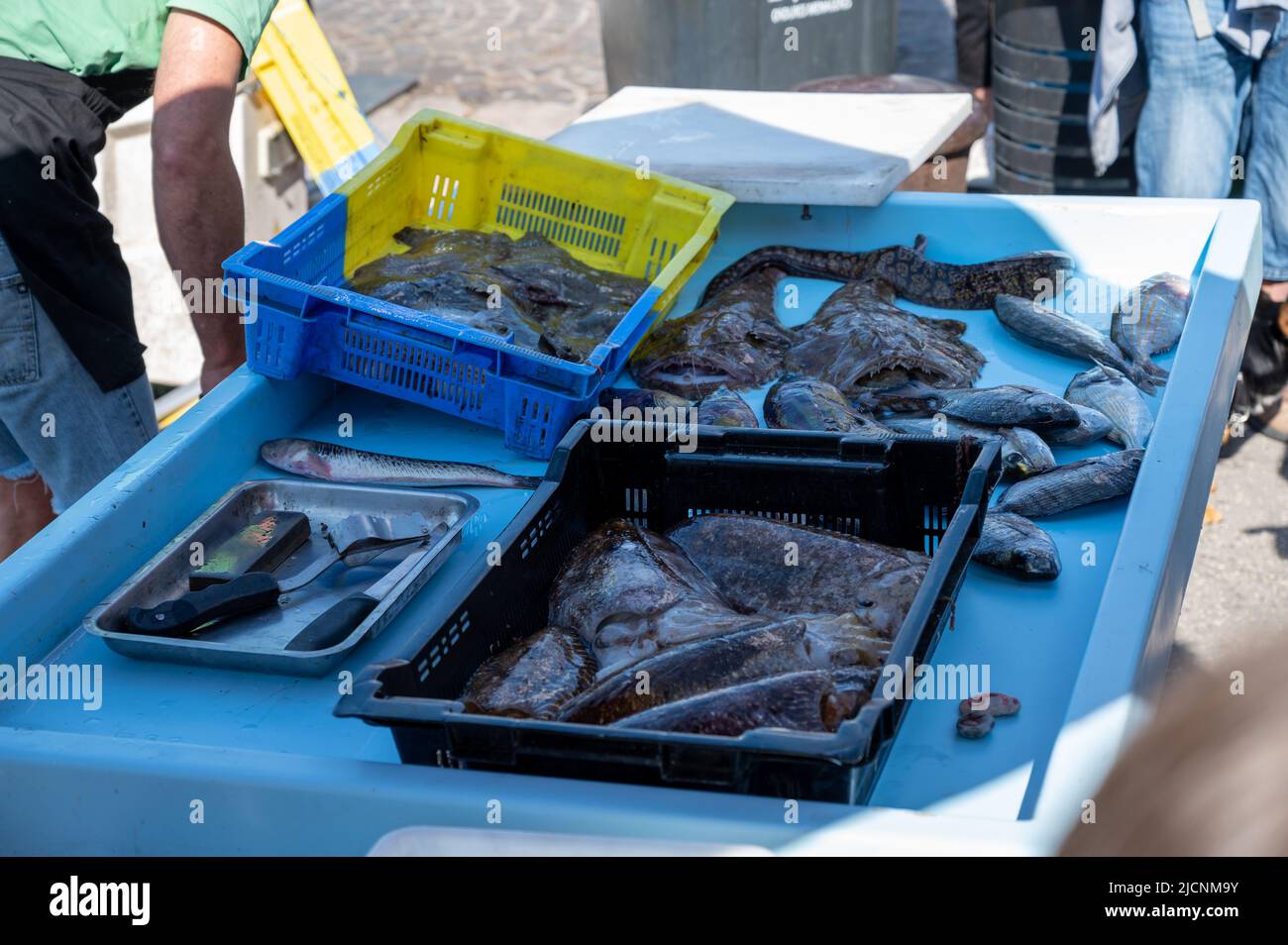 Catch of the day , fresh fish for sale on daily outdoor fisherman's ...