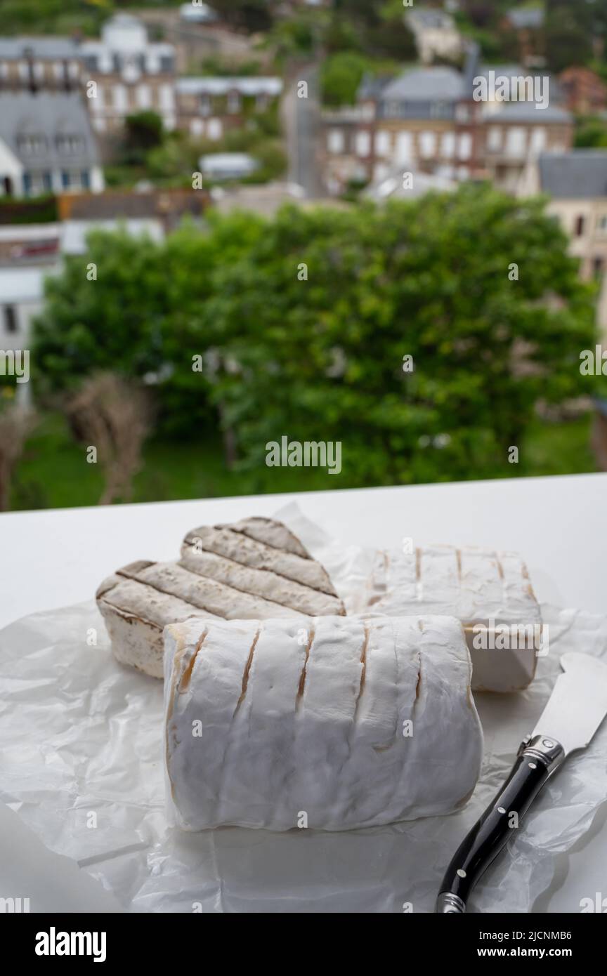 French cheeses heartshaped, squared and cylindrical neufchatel cow ...