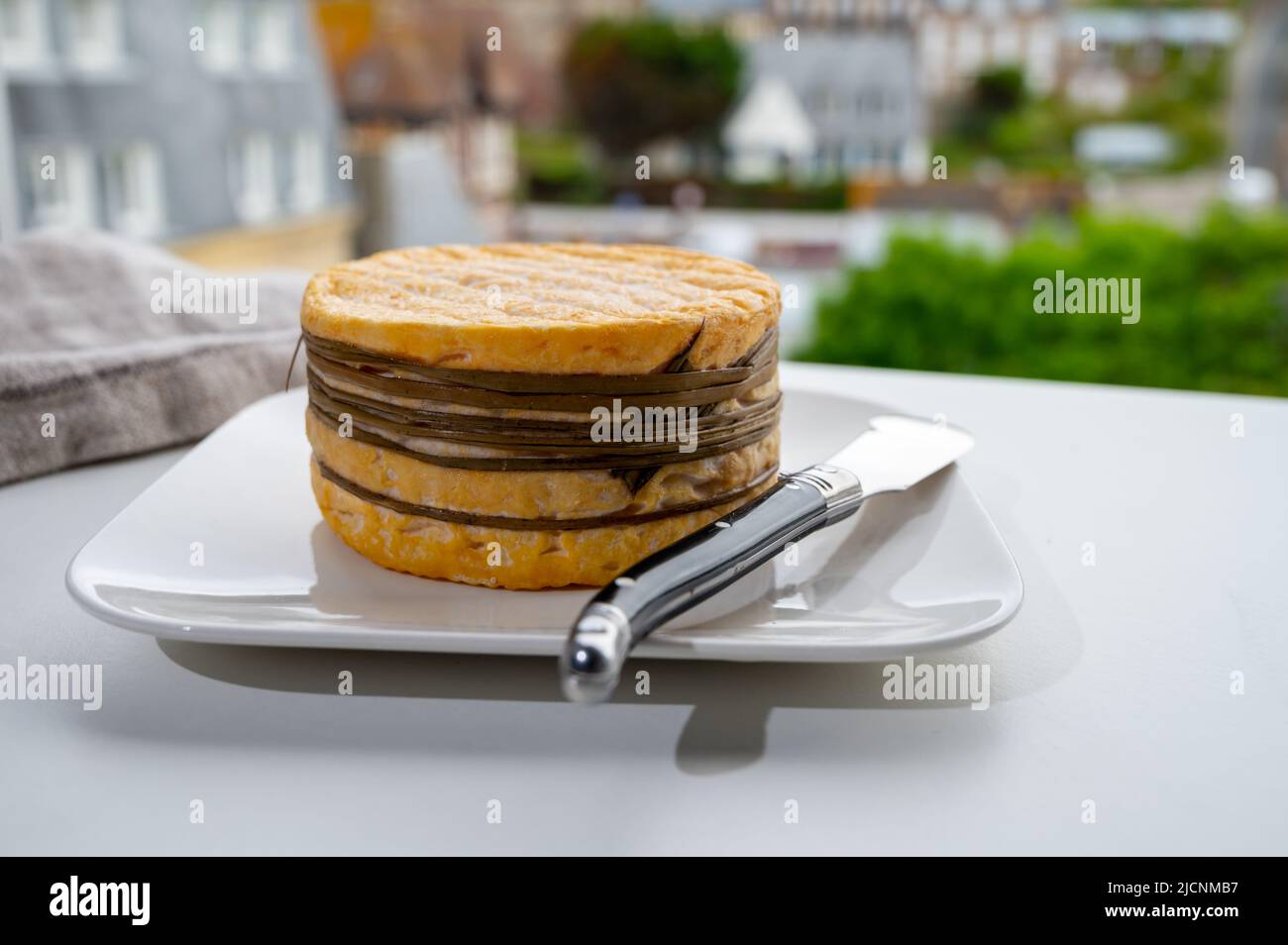 Tasting of yellow livarot cow cheese from Lisieux, Calvados region and ...