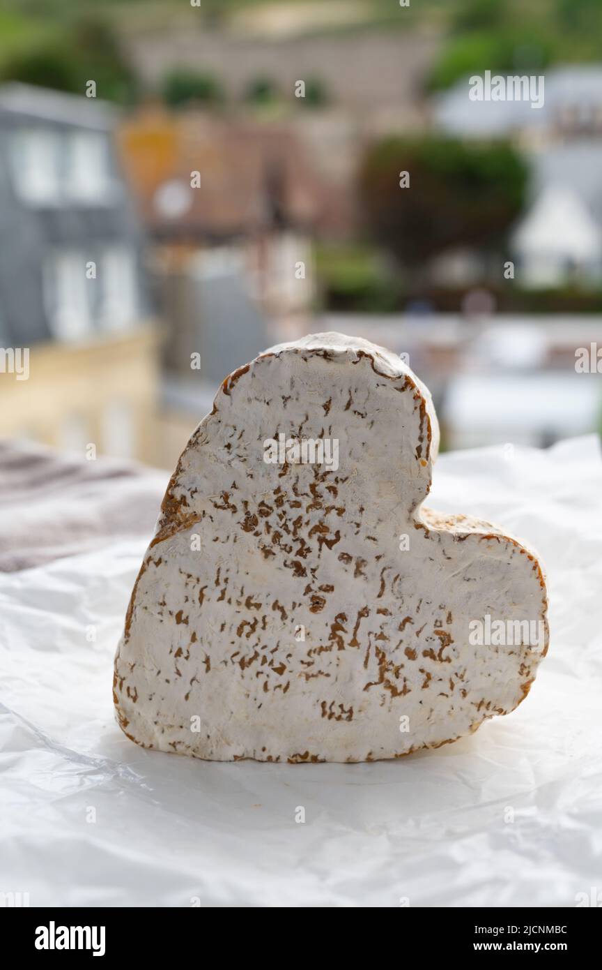 French farmers heartshaped neufchatel cow cheese with mold on white ...
