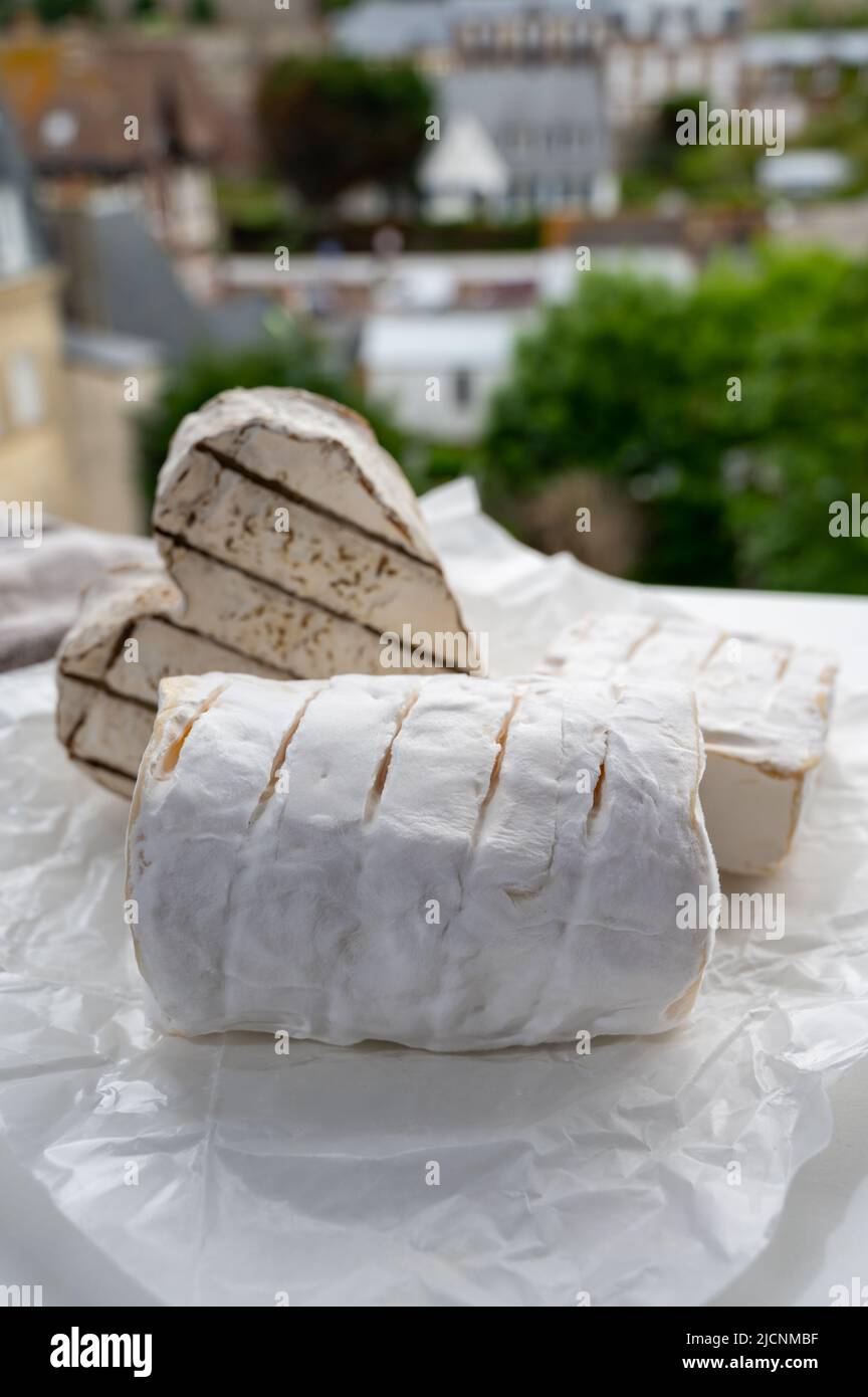 French cheeses heartshaped, squared and cylindrical neufchatel cow ...