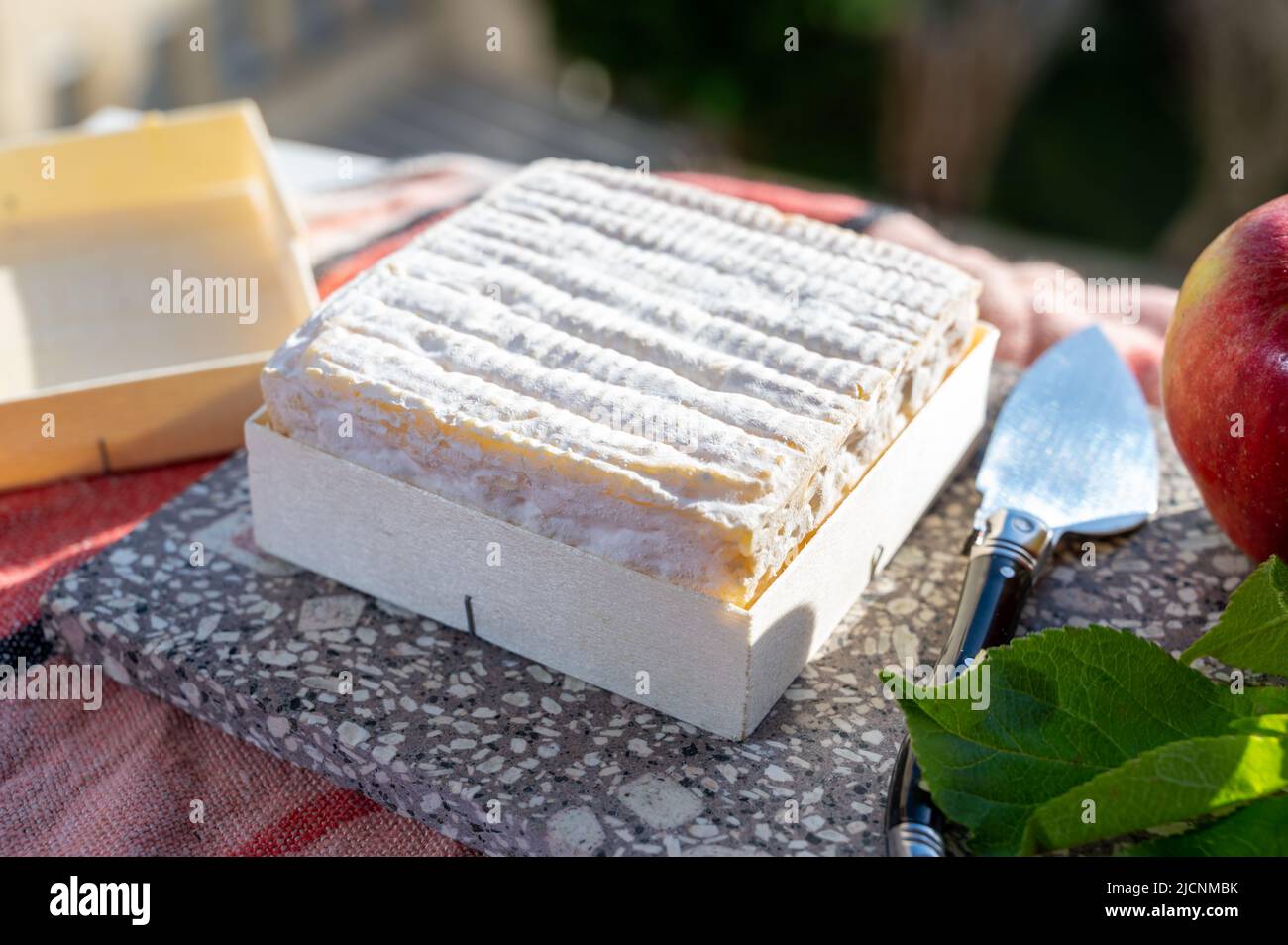 French squared pont l'eveque cow cheese from Calvados department, close ...