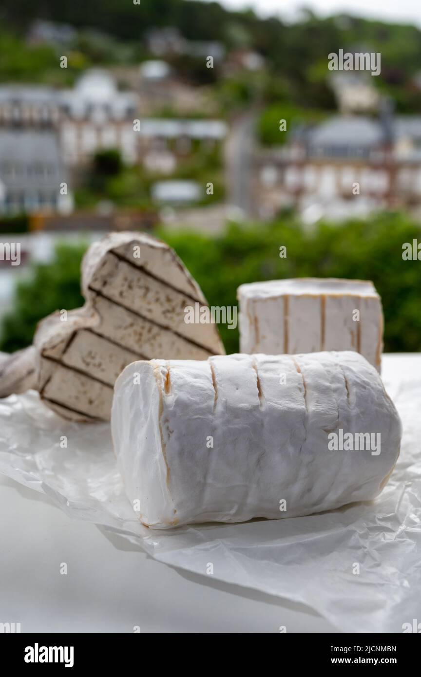 French cheeses heartshaped, squared and cylindrical neufchatel cow ...