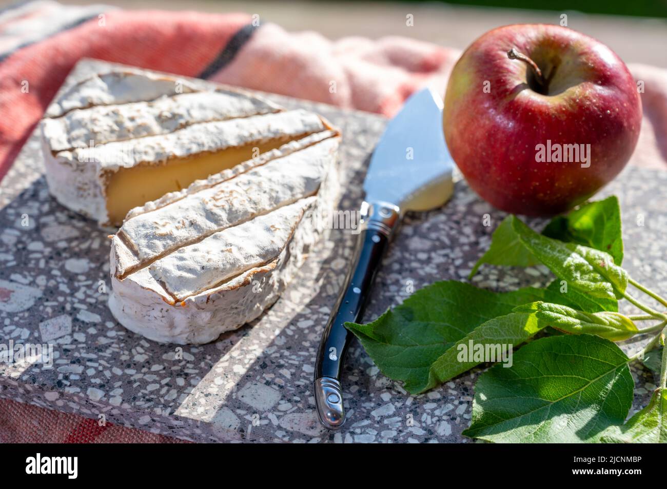 French heartshaped neufchatel cow cheese, close up, Neufchâtel-en-Bray ...