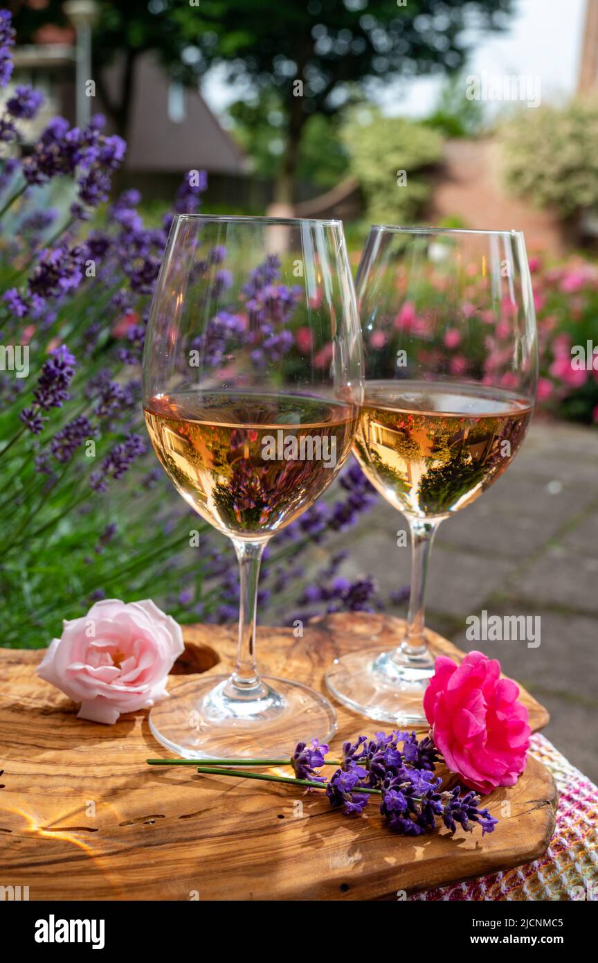 French rose wine from Provence, two glasses of wine with purple ...