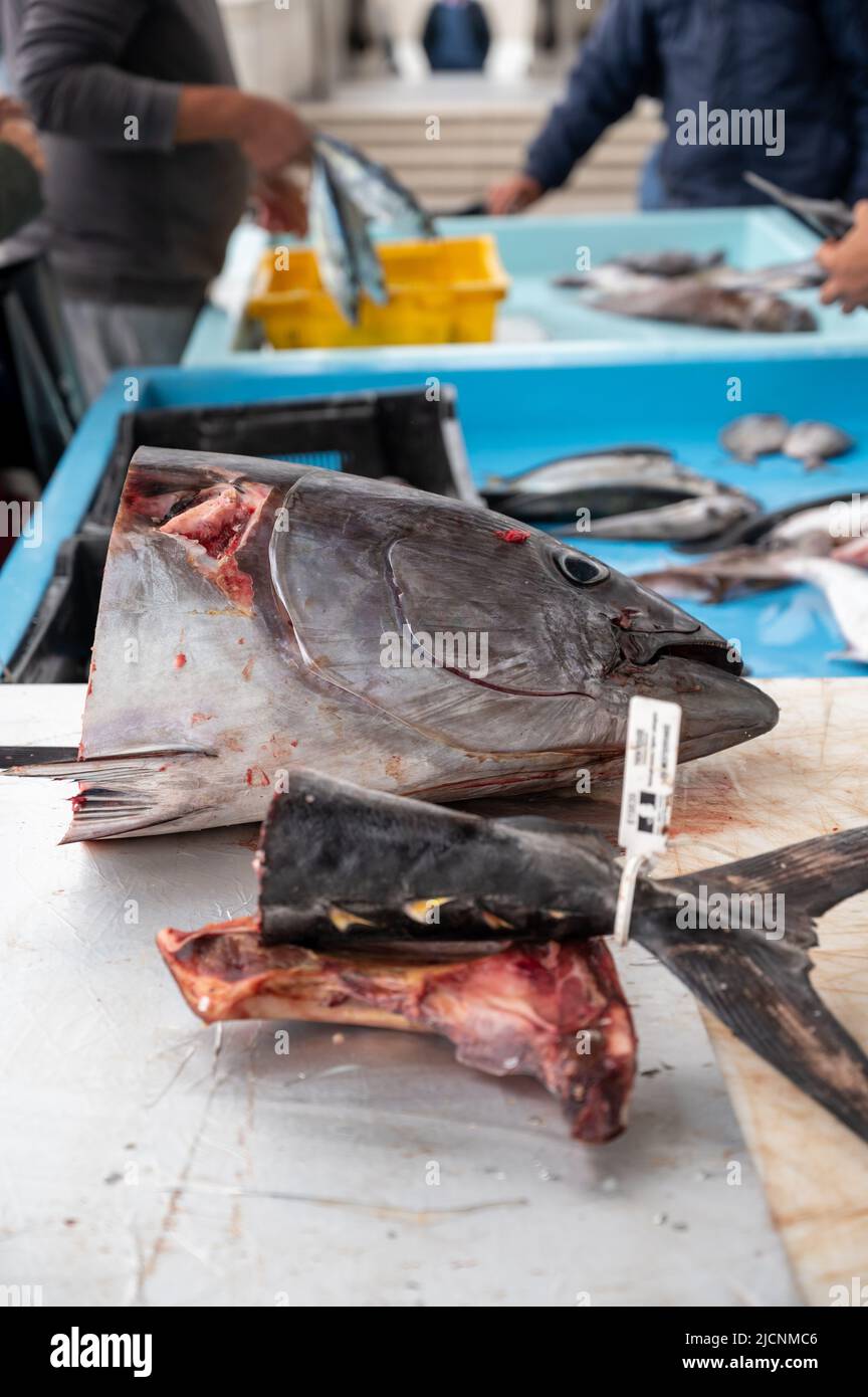 Catch of the day for sale on daily fish market in old port of Marseille ...
