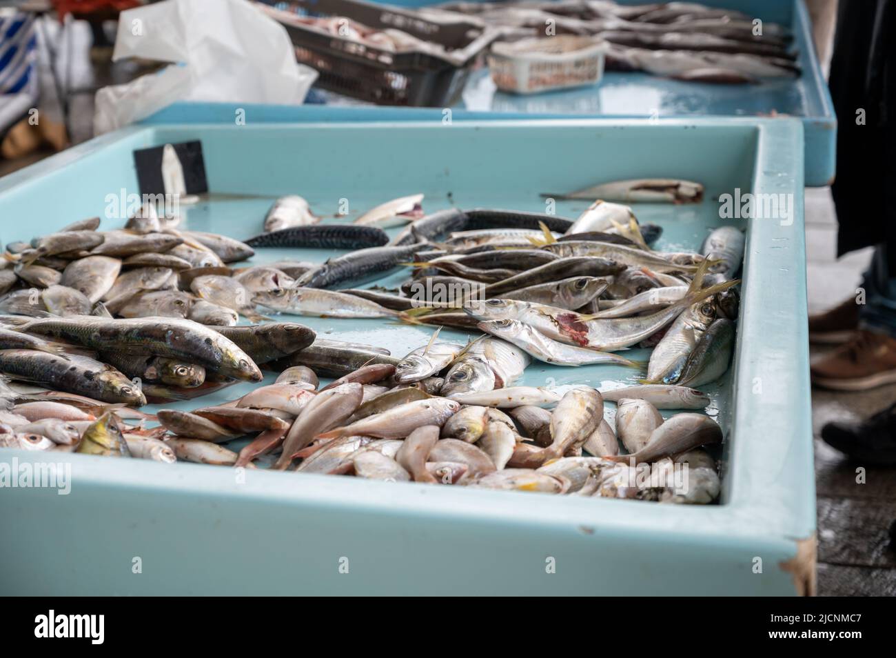 Catch of the day for sale on daily fish market in old port of Marseille ...