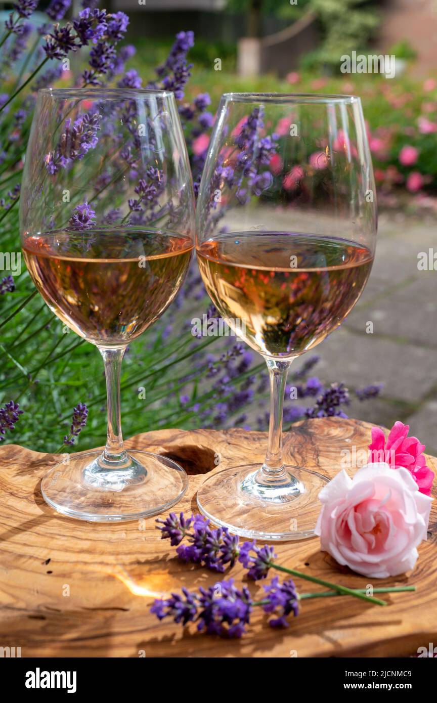 French rose wine from Provence, two glasses of wine with purple ...