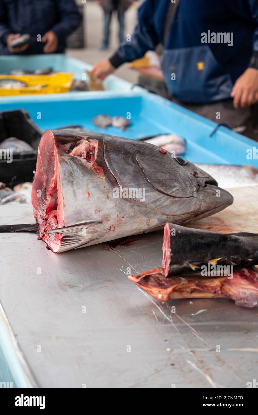 Catch of the day for sale on daily fish market in old port of Marseille ...