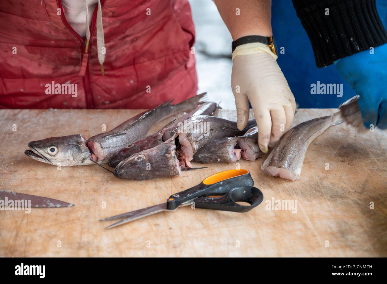 Catch of the day for sale on daily fish market in old port of Marseille ...