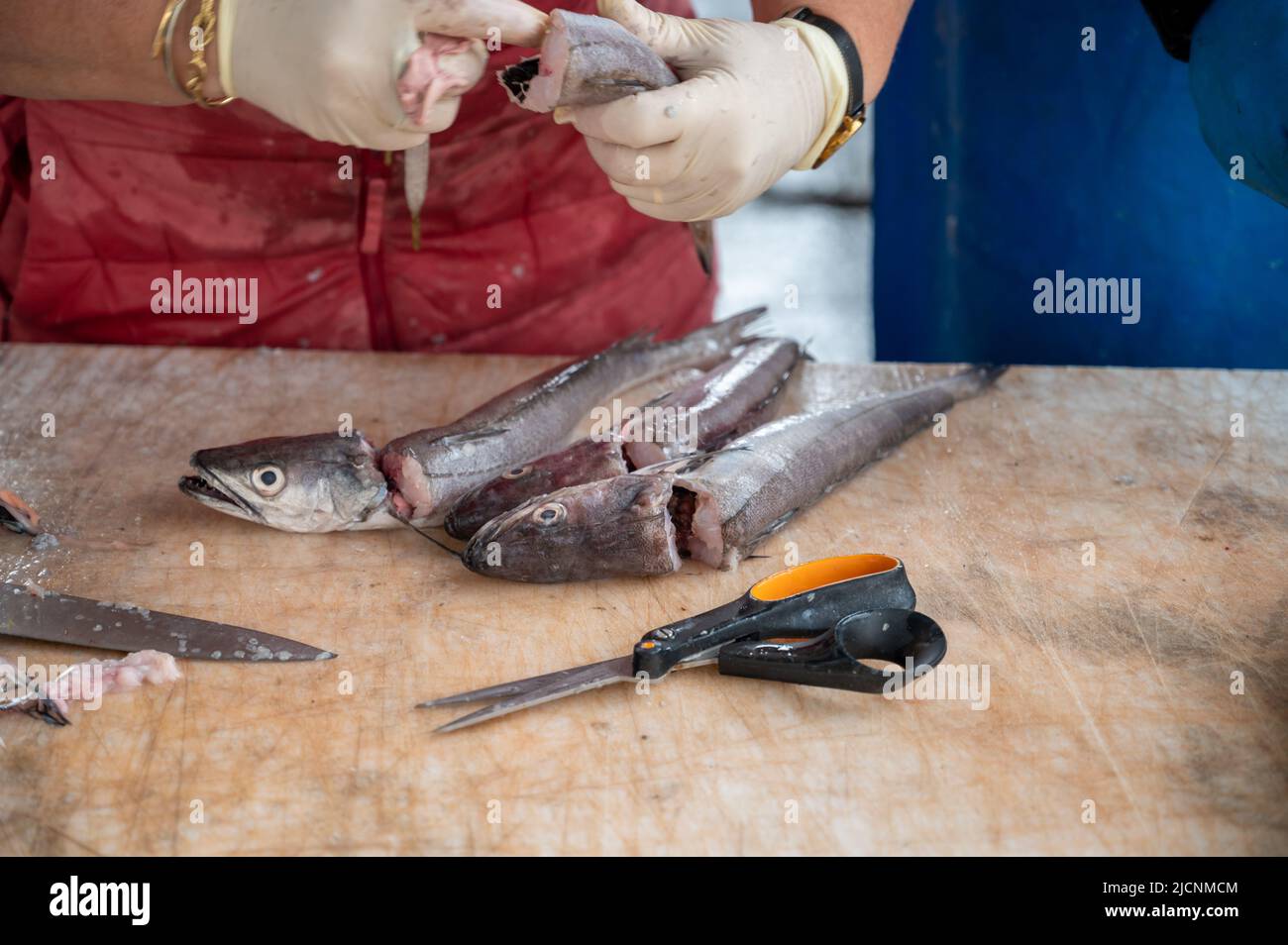 Catch of the day for sale on daily fish market in old port of Marseille ...