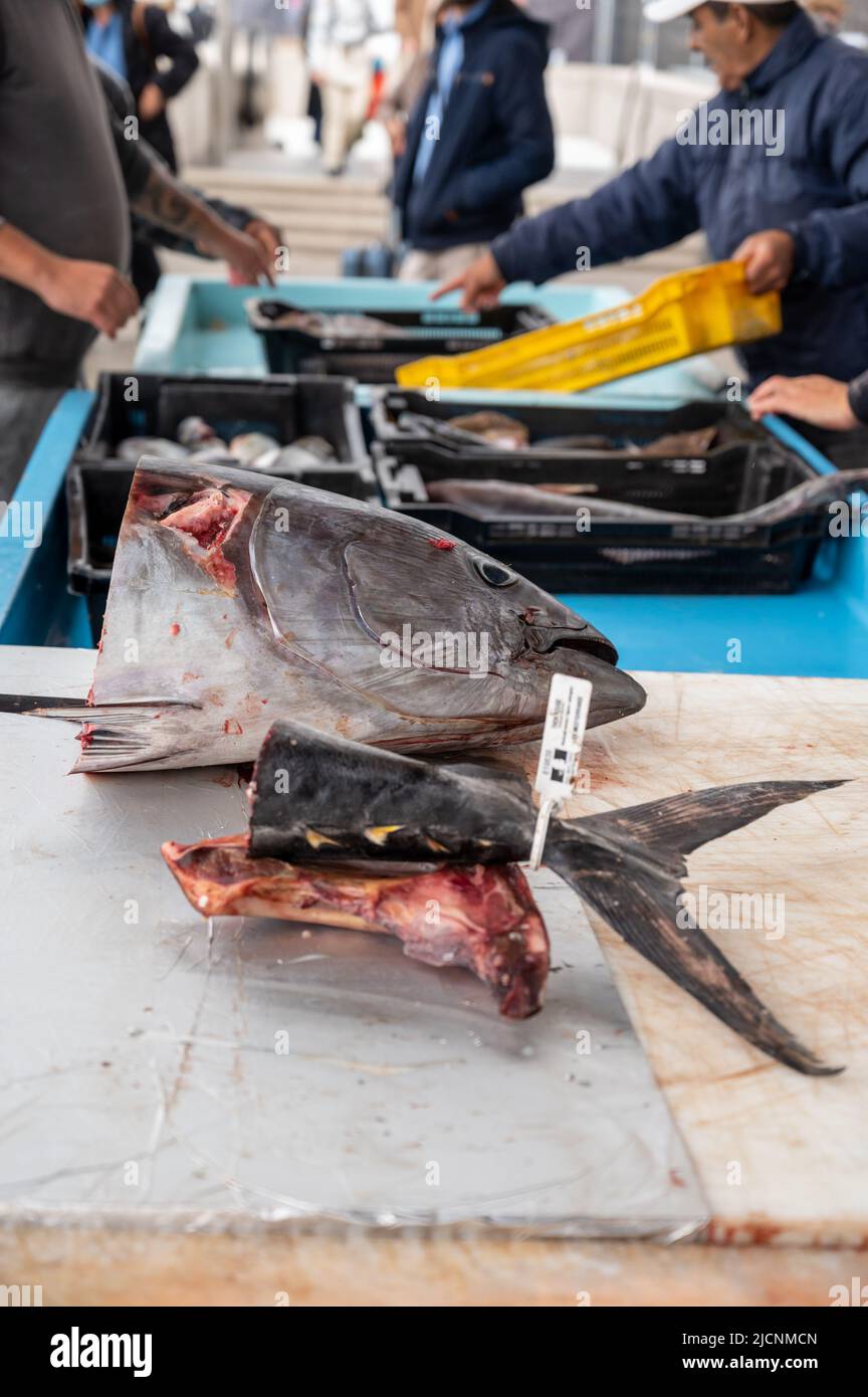 Catch of the day for sale on daily fish market in old port of Marseille ...