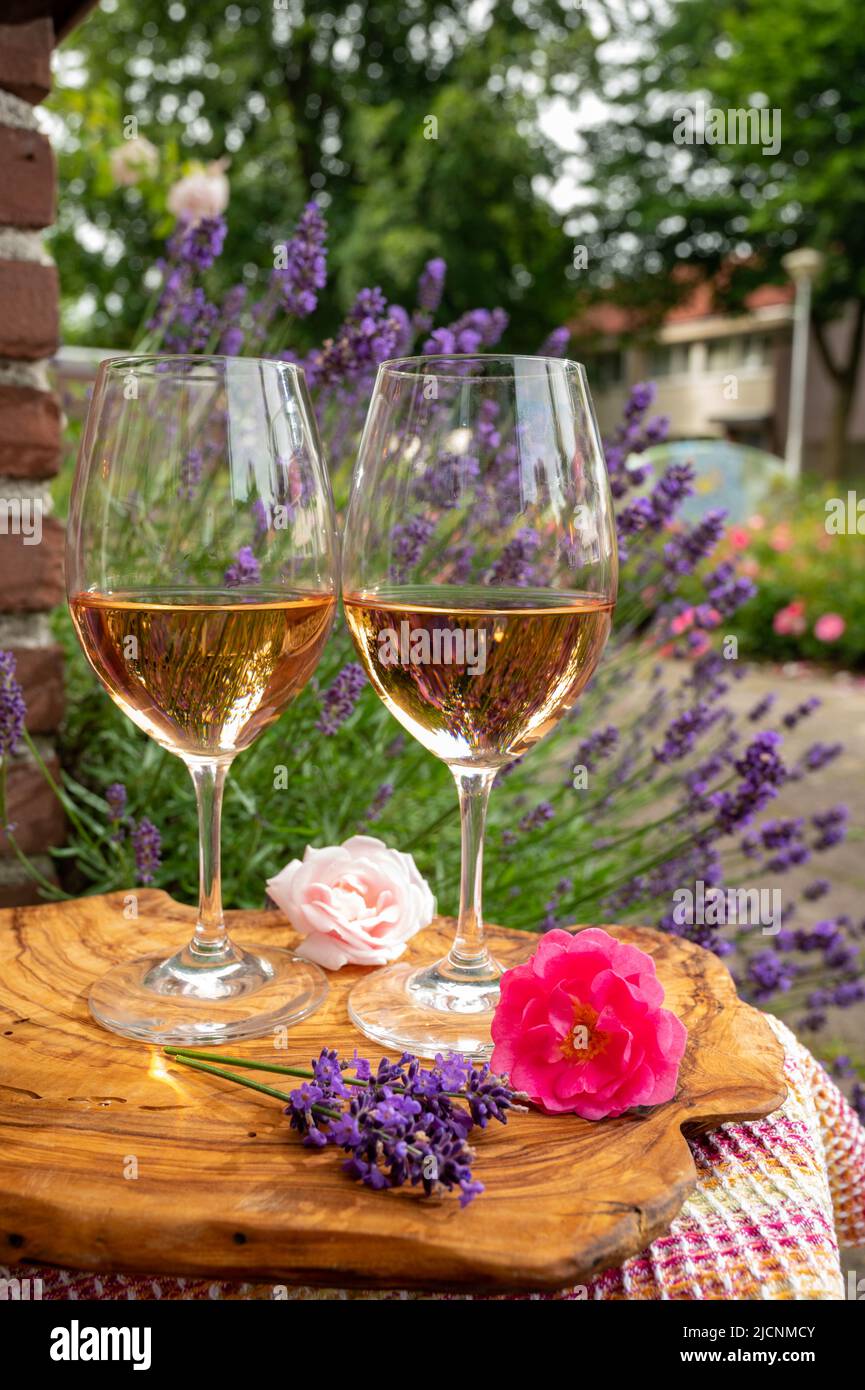 French rose wine from Provence, two glasses of wine with purple ...