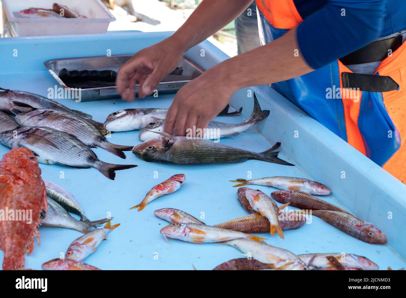 Catch of the day , fresh fish for sale on daily outdoor fisherman's ...