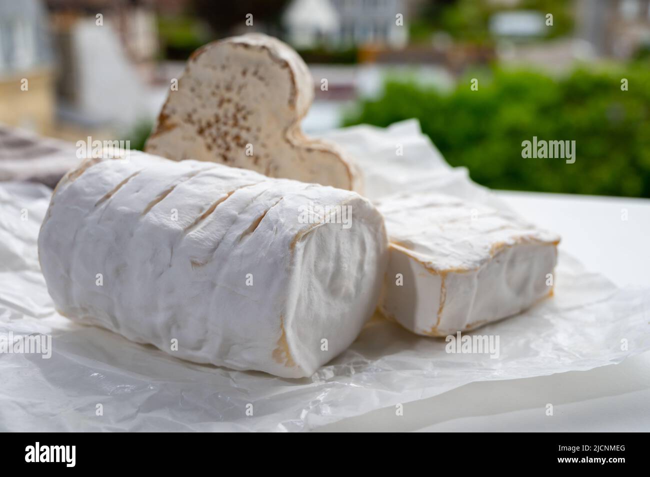 French cheeses heartshaped, squared and cylindrical neufchatel cow ...
