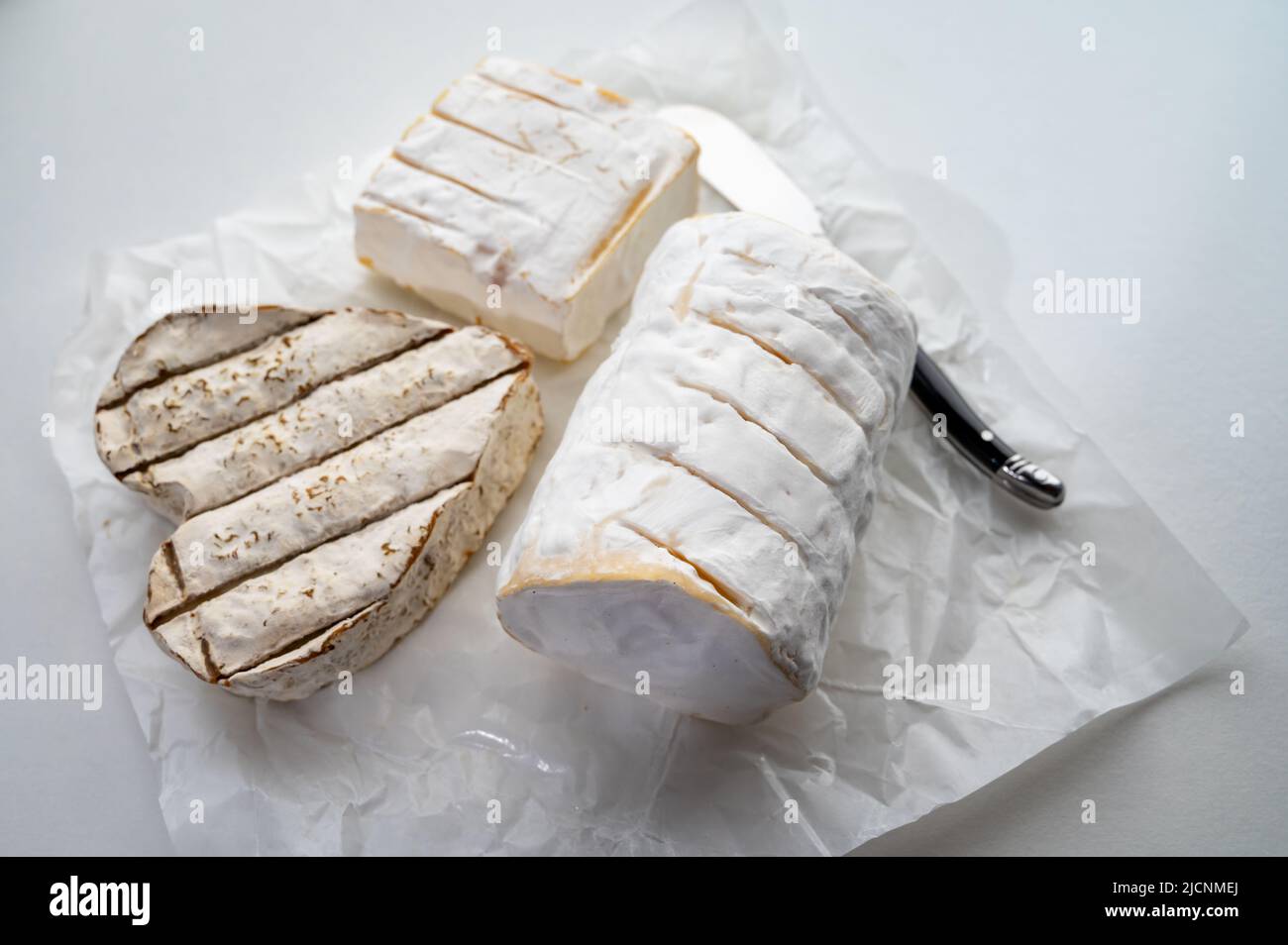 French cheeses heartshaped, squared and cylindrical neufchatel cow ...