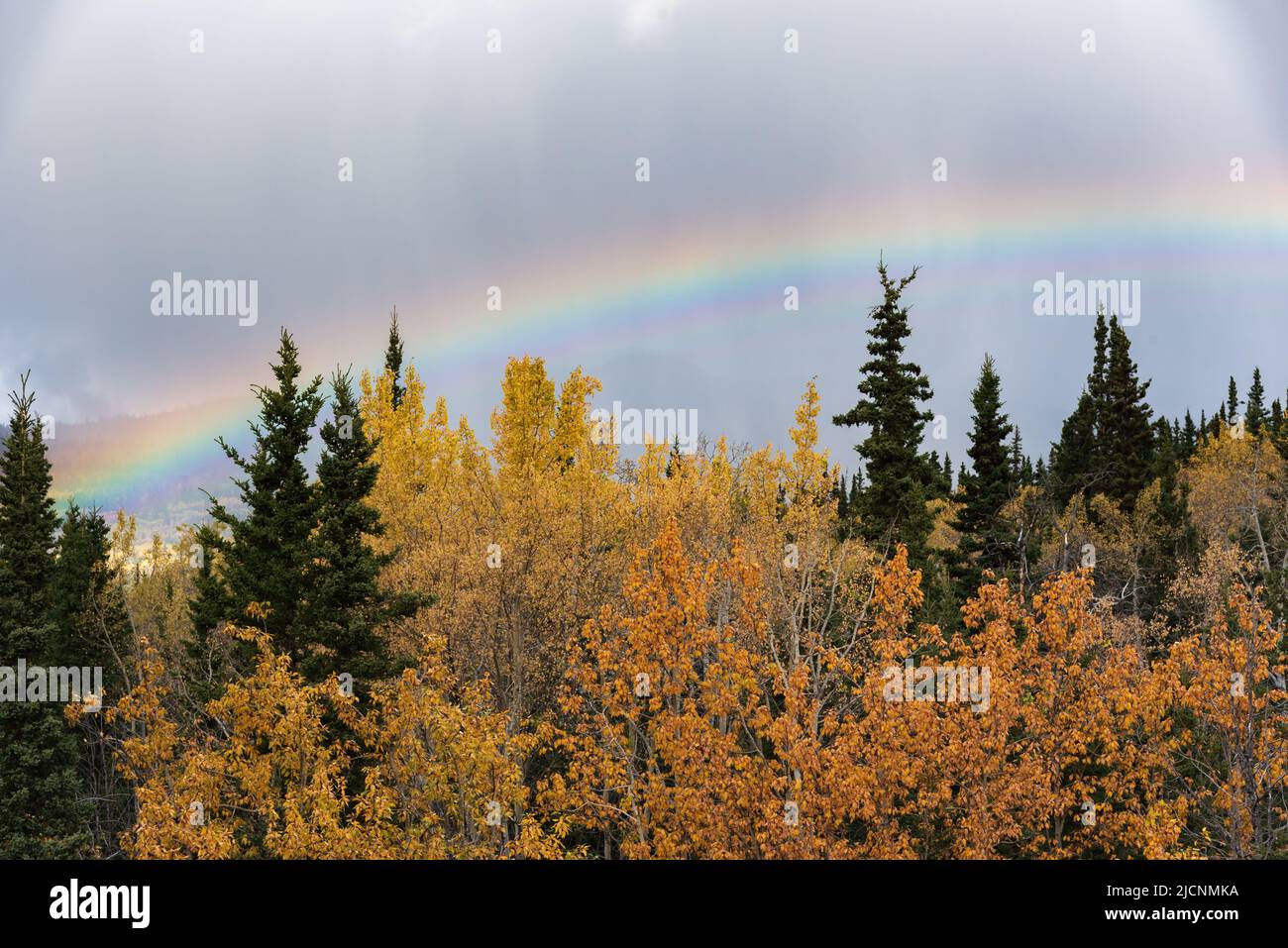 Wilderness area of Canada in fall, autumn season with blue sky ...