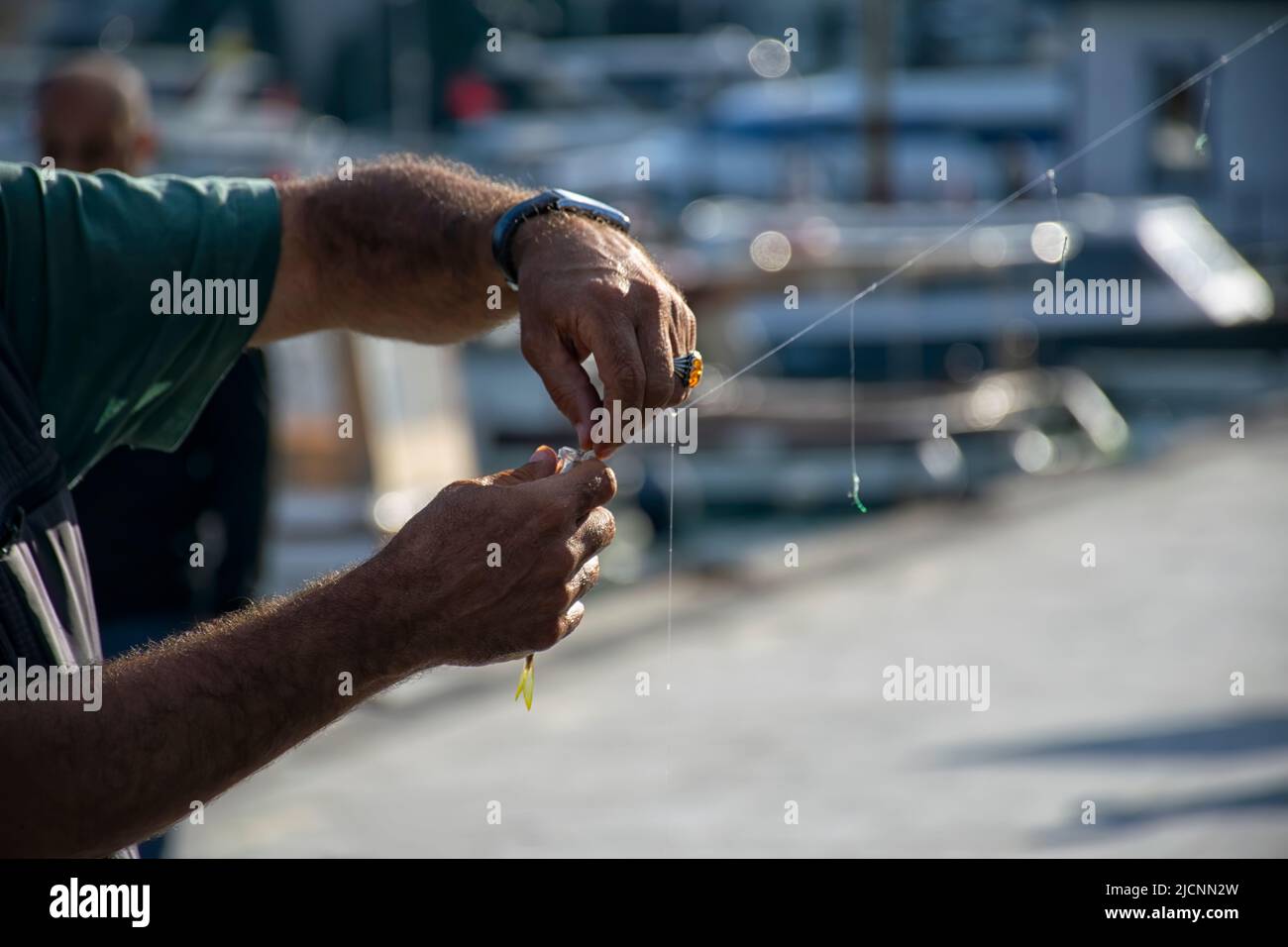 Freshly caught horse mackerel fish on a hook on a blurred background ...