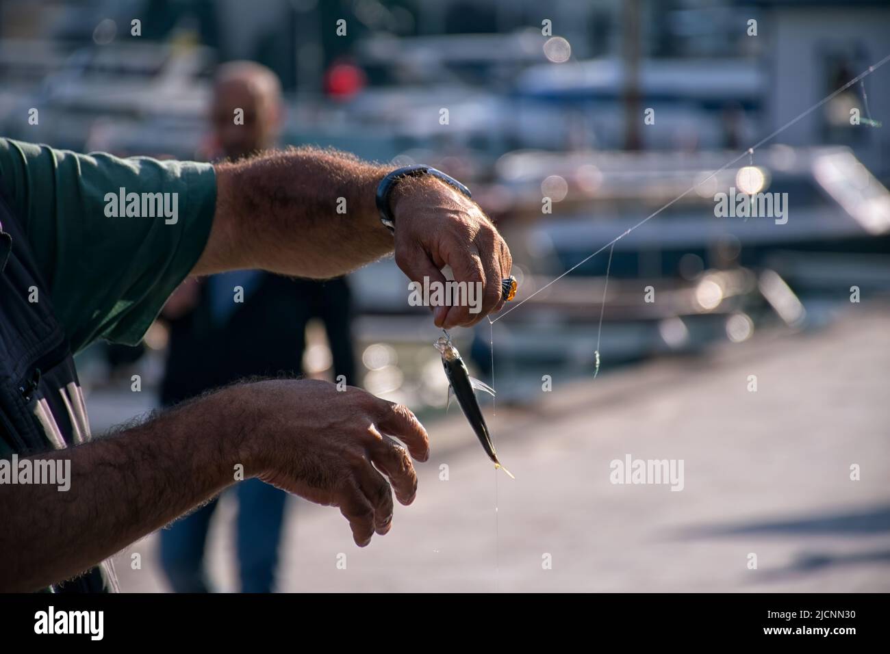 Freshly caught horse mackerel fish on a hook on a blurred background ...