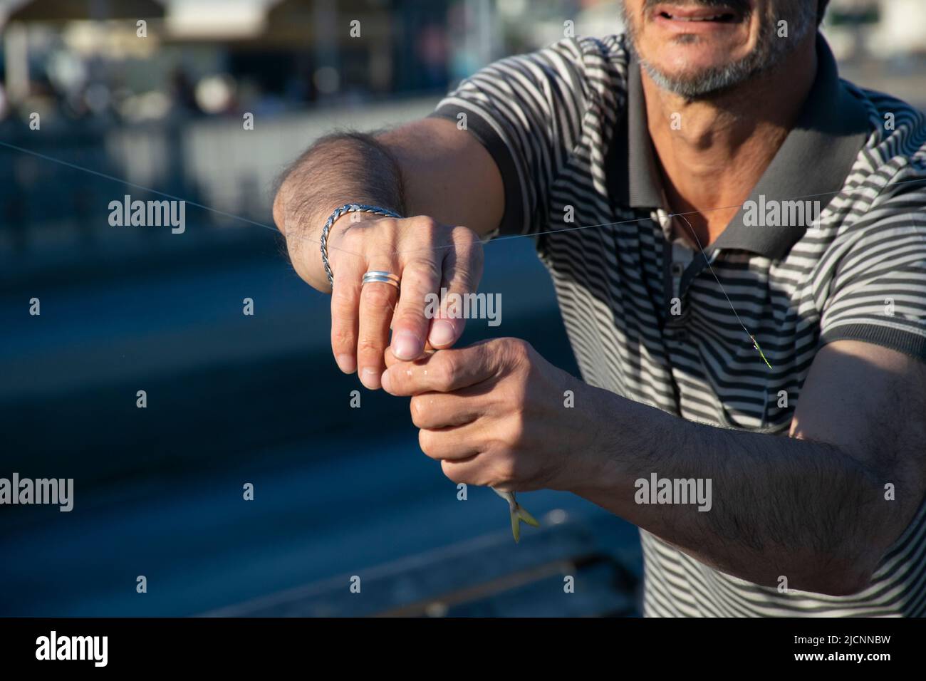 Freshly caught horse mackerel fish on a hook on a man's hand, side view ...