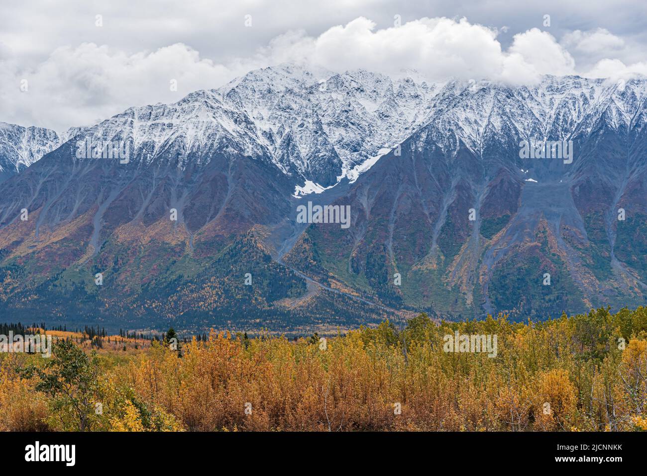 The remarkable, stunning, autumn, fall landscape of Yukon Territory in ...