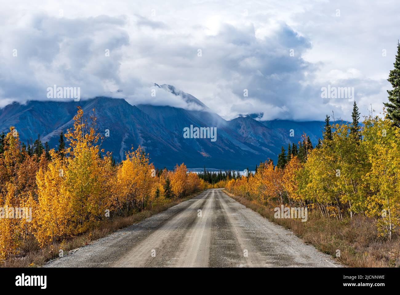 The remarkable, stunning, autumn, fall landscape of Yukon Territory in ...