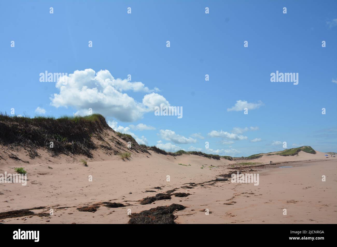 Pei dunes hi-res stock photography and images - Alamy