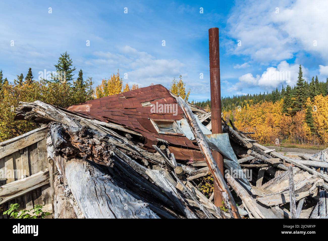 Abandoned log cabin that is collapsed and falling over in the woods ...