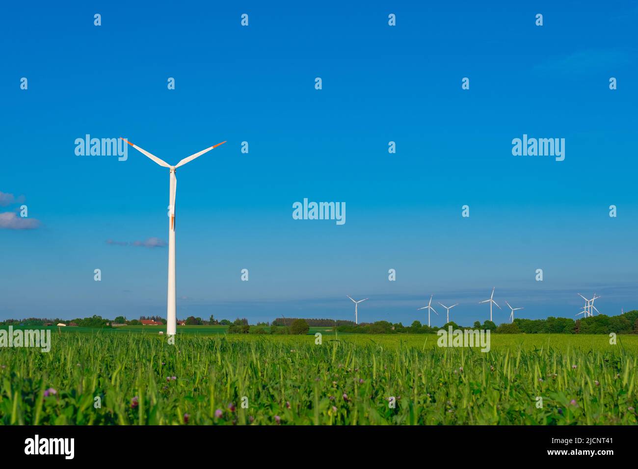 Wind generator in green grass.Windmill on blue sky background.renewable ...