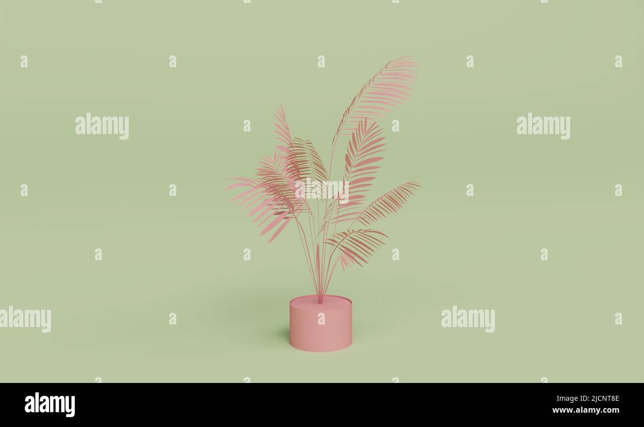 pink color plant 3d render on Sprout color background Stock Photo - Alamy