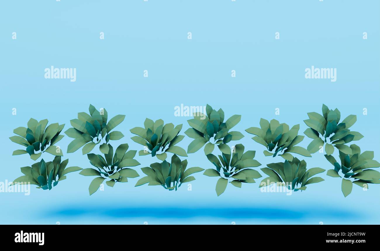 plant leaf flying 3d render on Sprout color background Stock Photo - Alamy