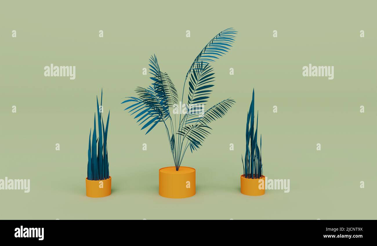 three plant 3d render on Sprout color background Stock Photo - Alamy