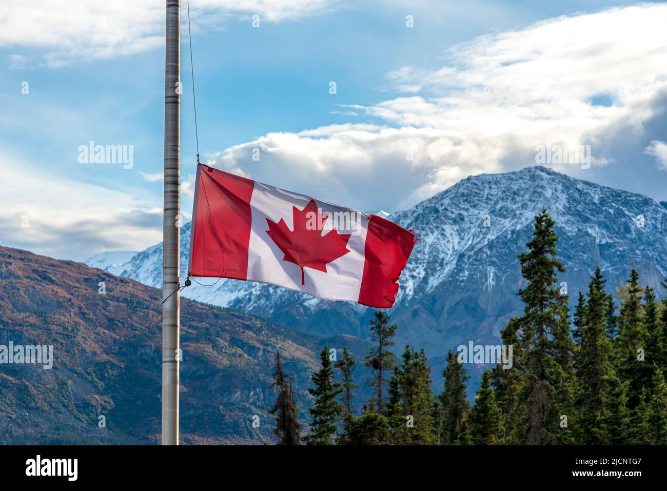 Canadian maple leaf flag seen flying half mast on a flag pole in ...