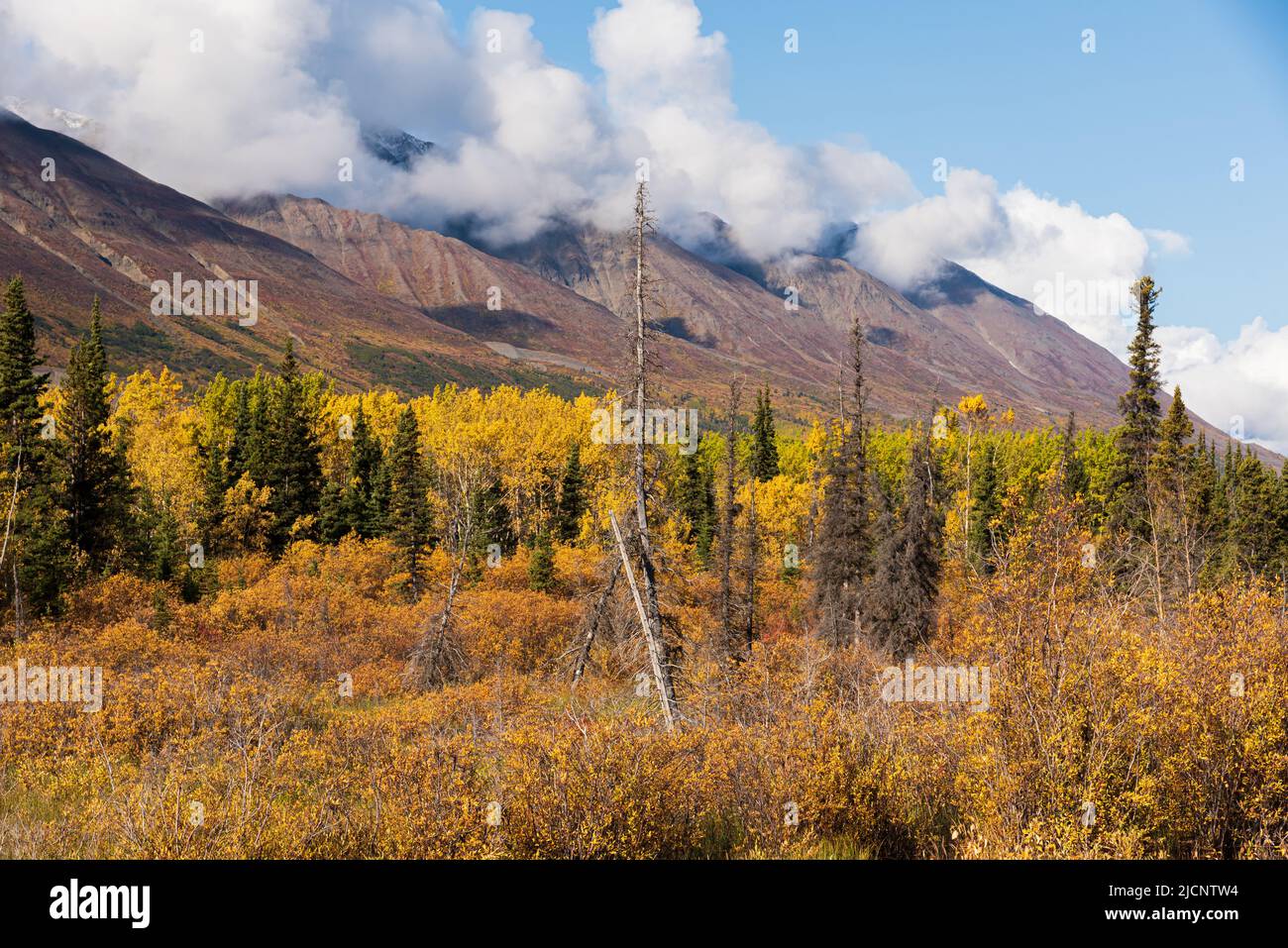 Landscape, road trip scenes in Yukon Territory, during fall, autumn ...